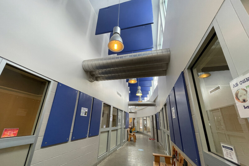 Dutchess County SPCA - WSDG